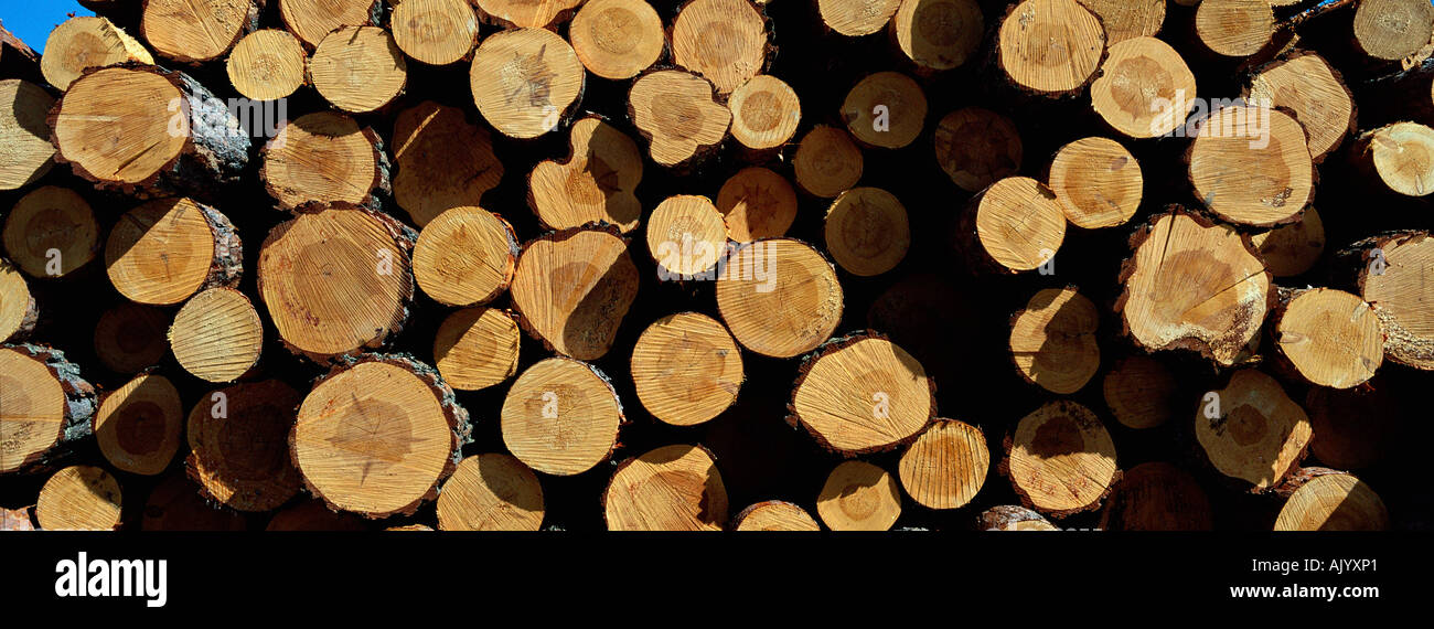 Pile of wood sweden hi-res stock photography and images - Alamy