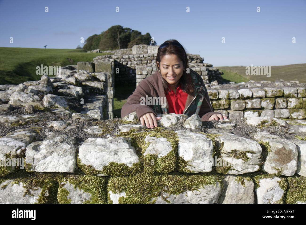 UK England Northumberland,Hexham,Hadrians Hadrian's Wall,Housesteads ...