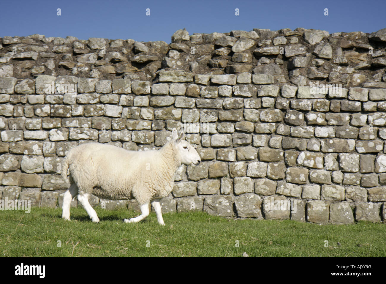 Hexham landmarks hi-res stock photography and images - Alamy