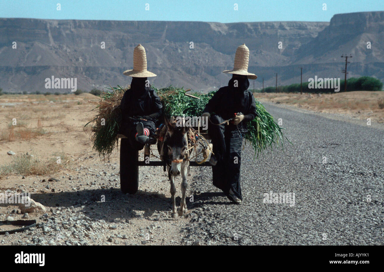 Donkey cart farm hi-res stock photography and images - Alamy