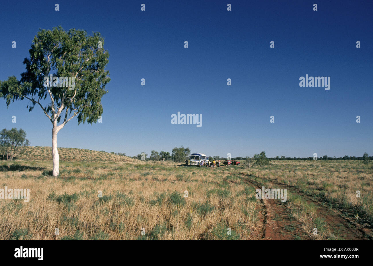 AUSTRALIA QUEENSLAND OUTBACK A group of campers aboard a bus halt for ...