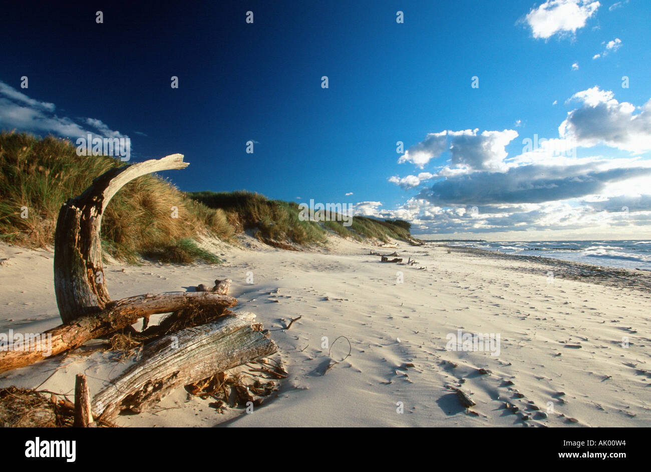 Beach / Darss Stock Photo - Alamy