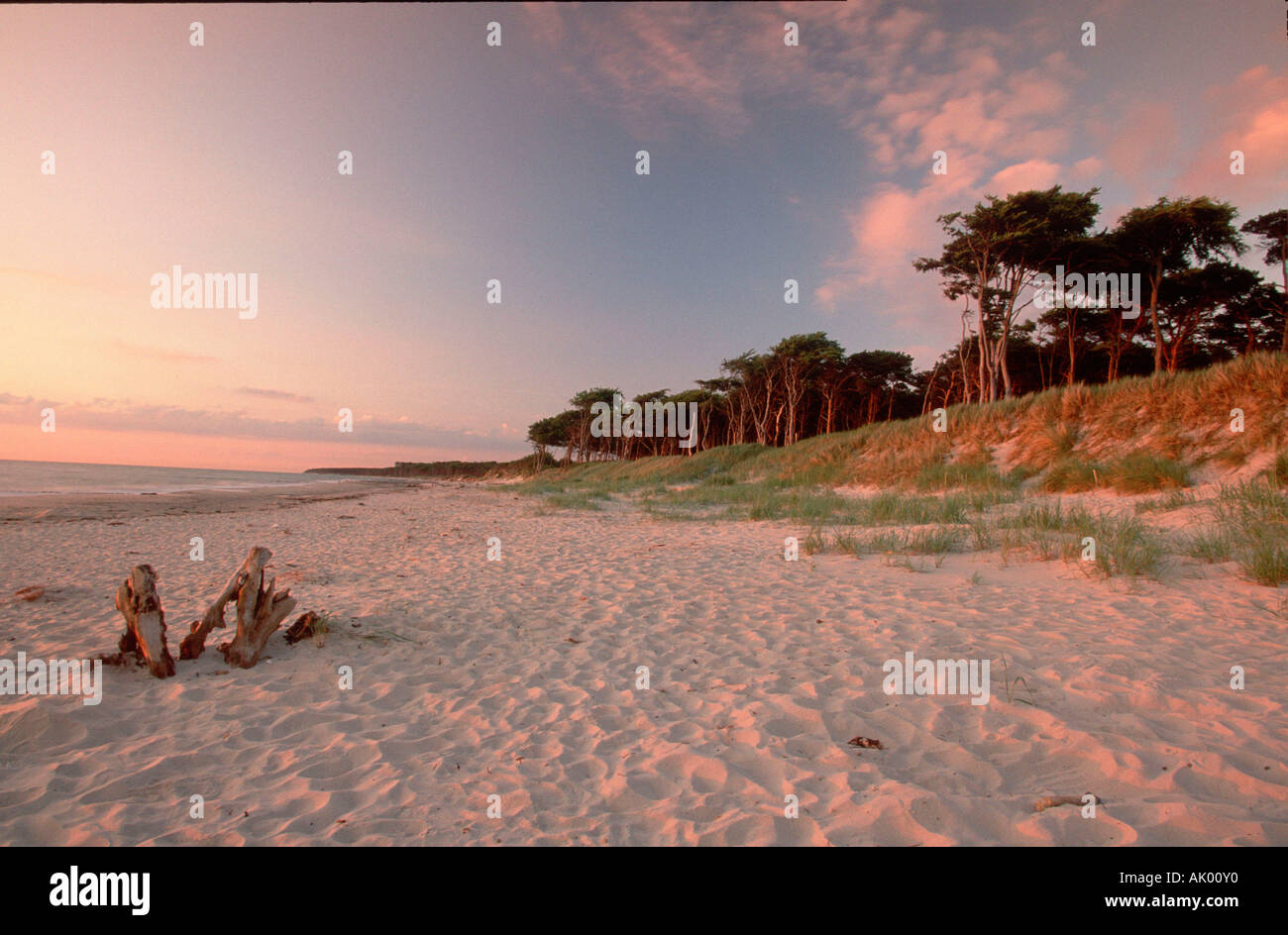 Beach / Darss Stock Photo - Alamy