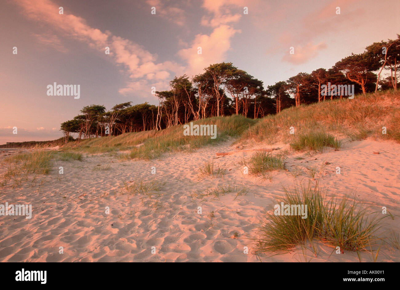 Beach / Darss Stock Photo - Alamy