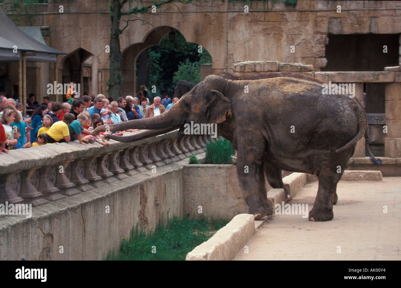 Hanover zoo germany hi-res stock photography and images - Alamy