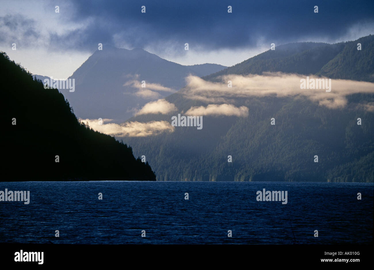 Sunrise on a primary forest at the mouth of Princess Louisa Inlet in ...