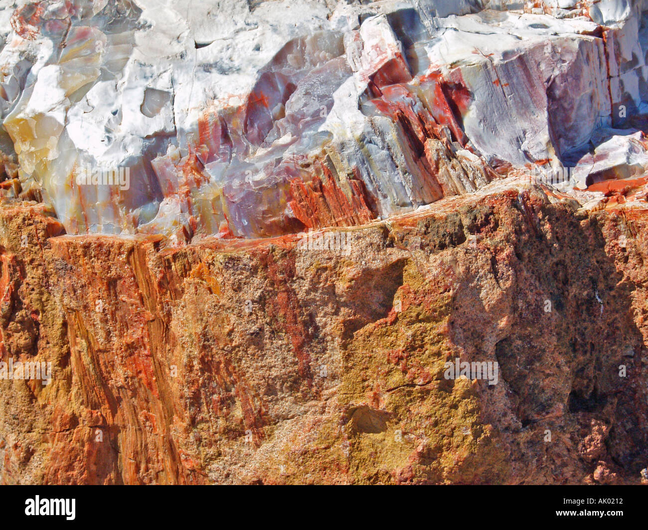 Triassic period tree hi-res stock photography and images - Alamy