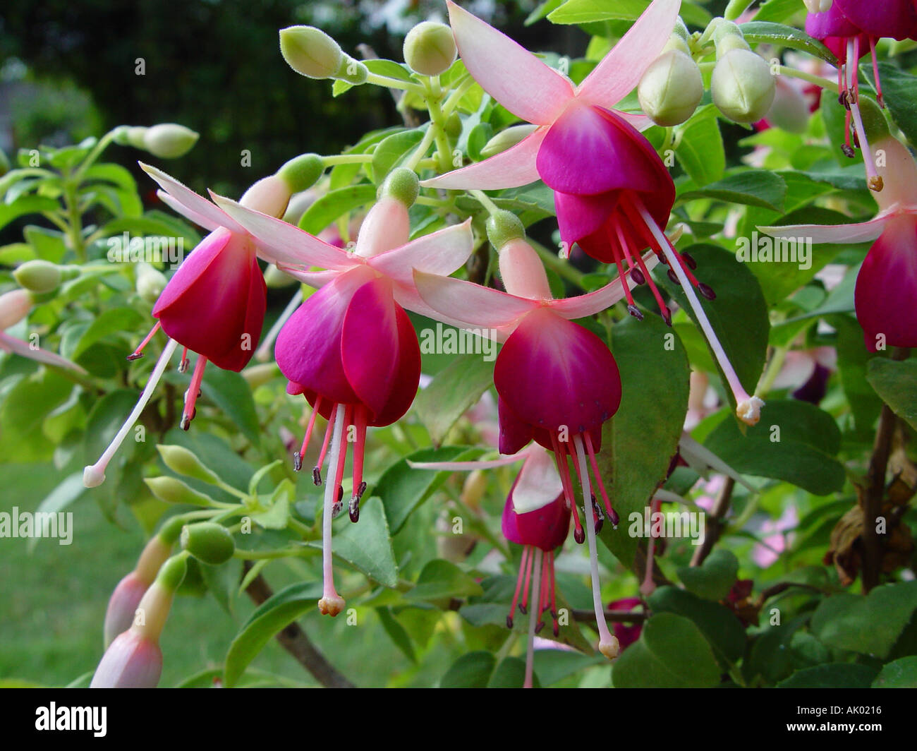 Unique s hi-res stock photography and images - Alamy