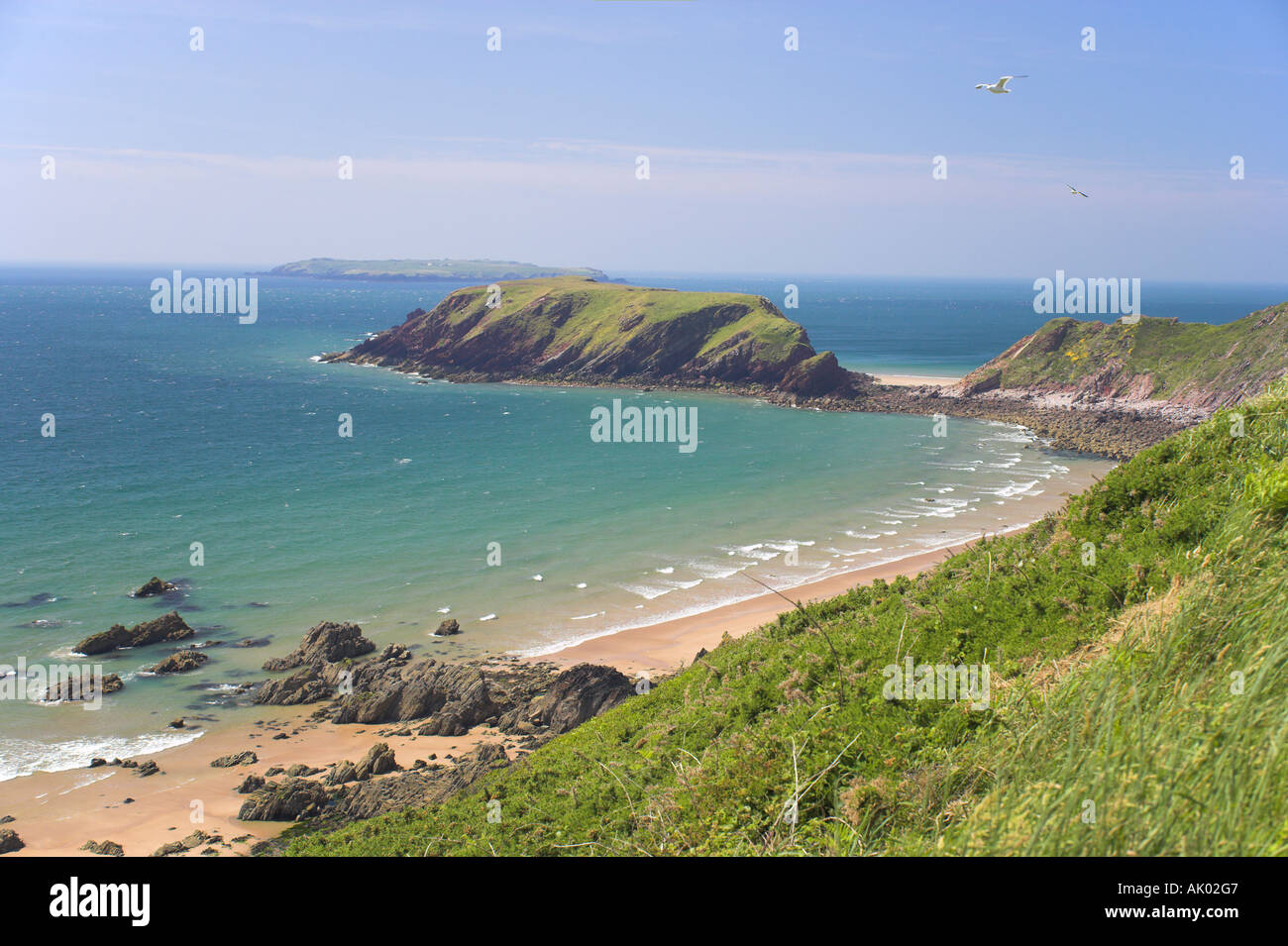Gateholm and Skokholm Island beyond at Marloes Sands with seagulls in ...
