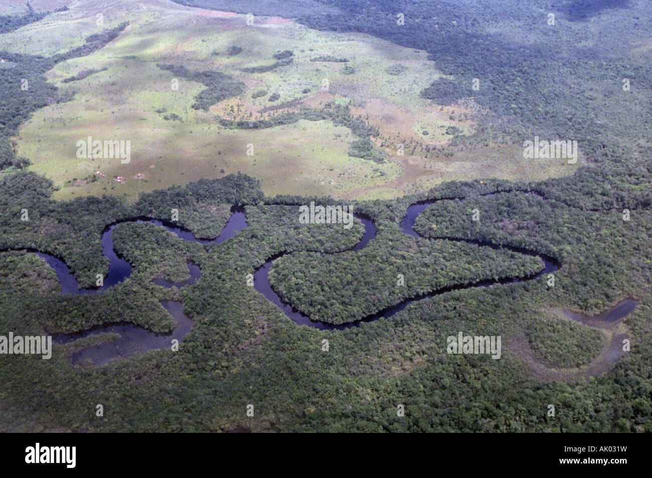 A view of a winding tributary of the Amazon River as it winds through dense remote rain forest ...