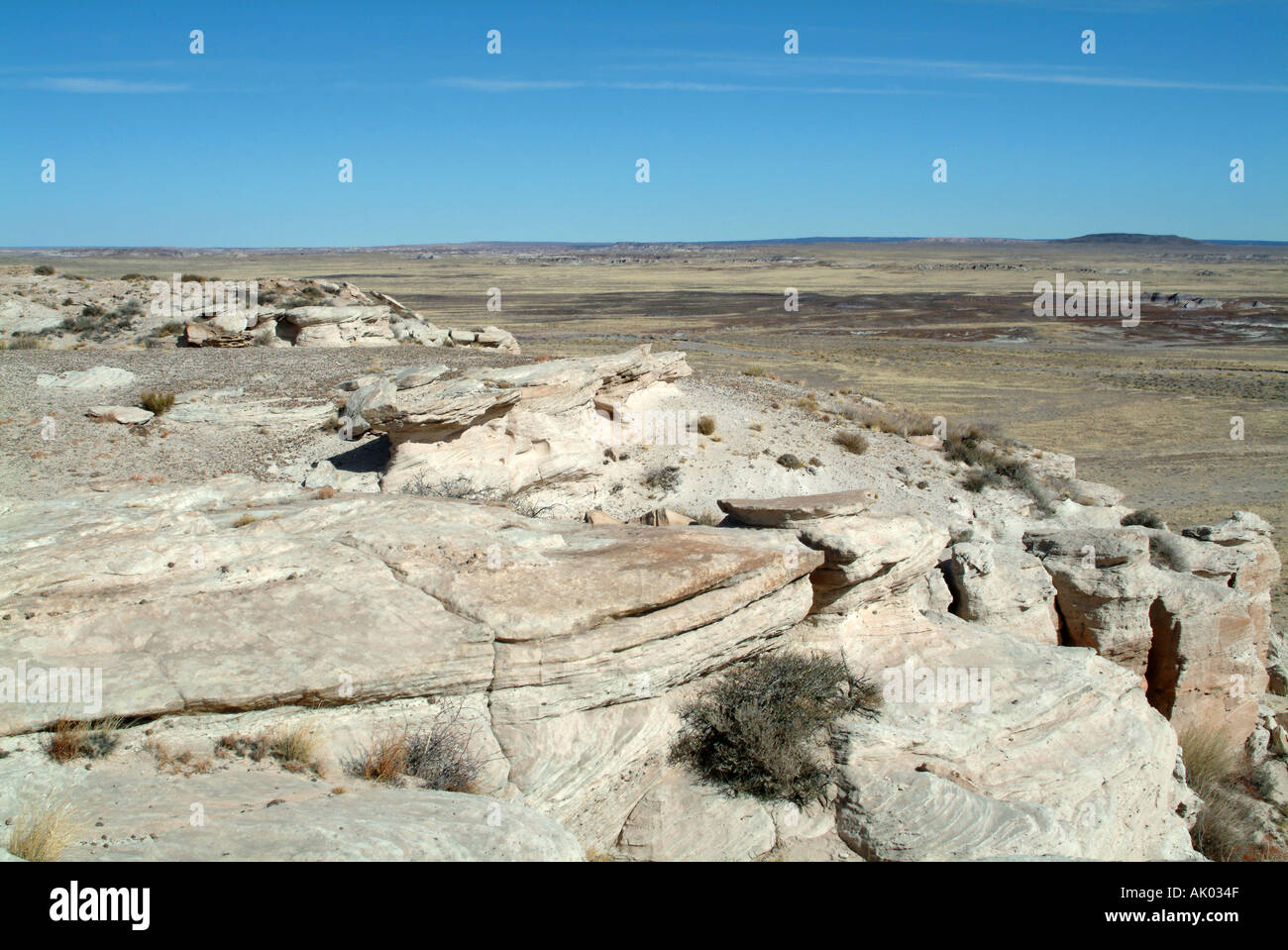 View of Petrified Forest from Agate Bridge Area Petrified Forest ...