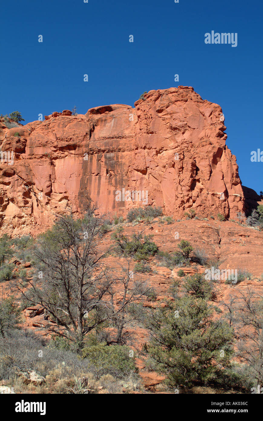 Red Rock Country from Pioneer Trail Sedona Arizona United States ...