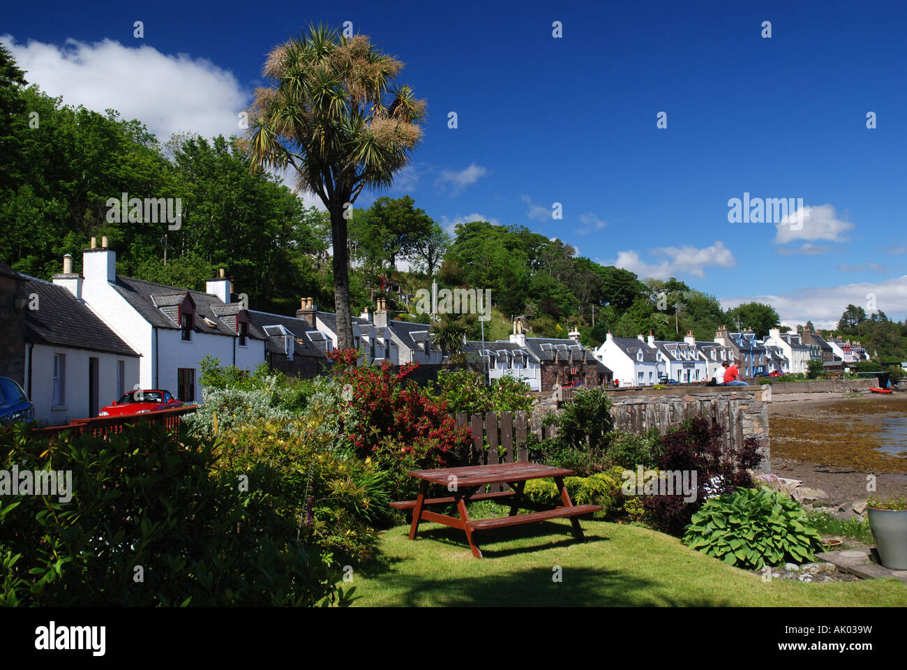 Palm tree scotland hi-res stock photography and images - Alamy