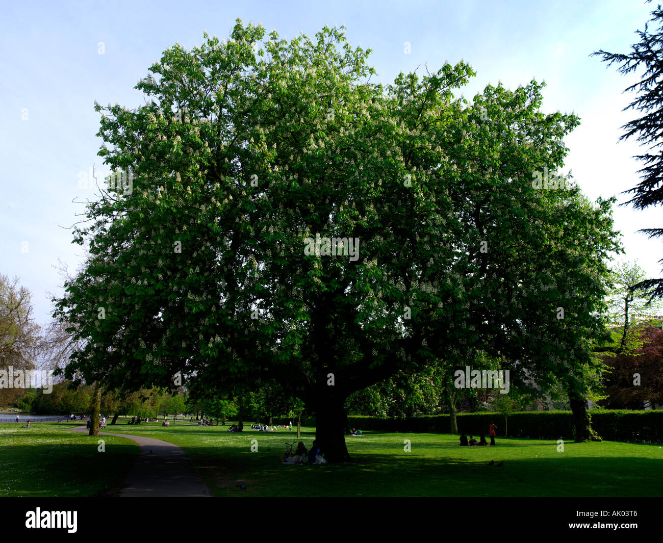 Picnic london park family hi-res stock photography and images - Alamy