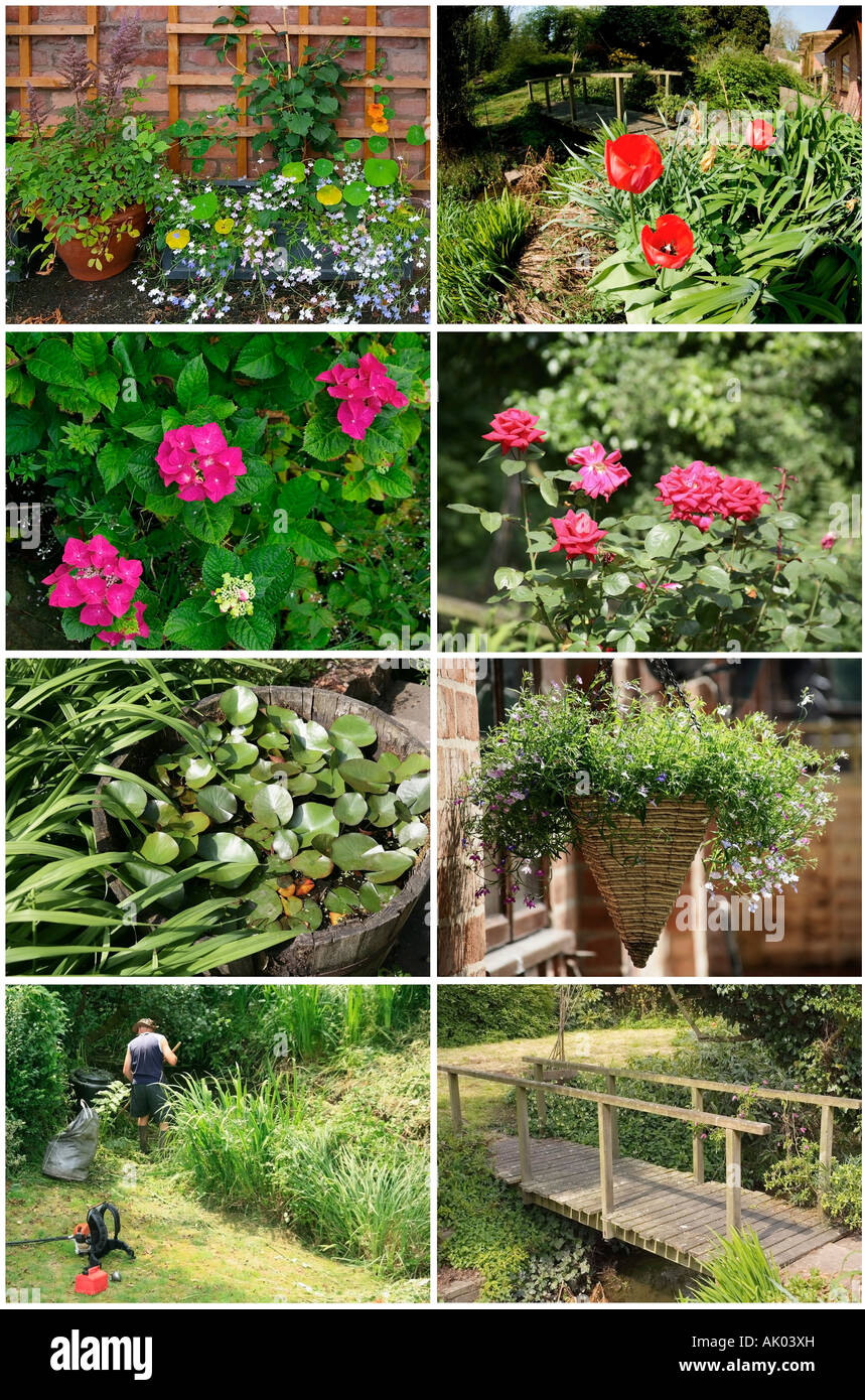 eight garden flower plant organic images or backgrounds images are high ...