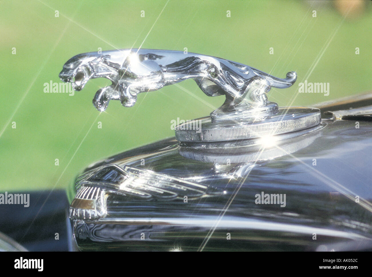 Vintage jaguar logo hi-res stock photography and images - Alamy