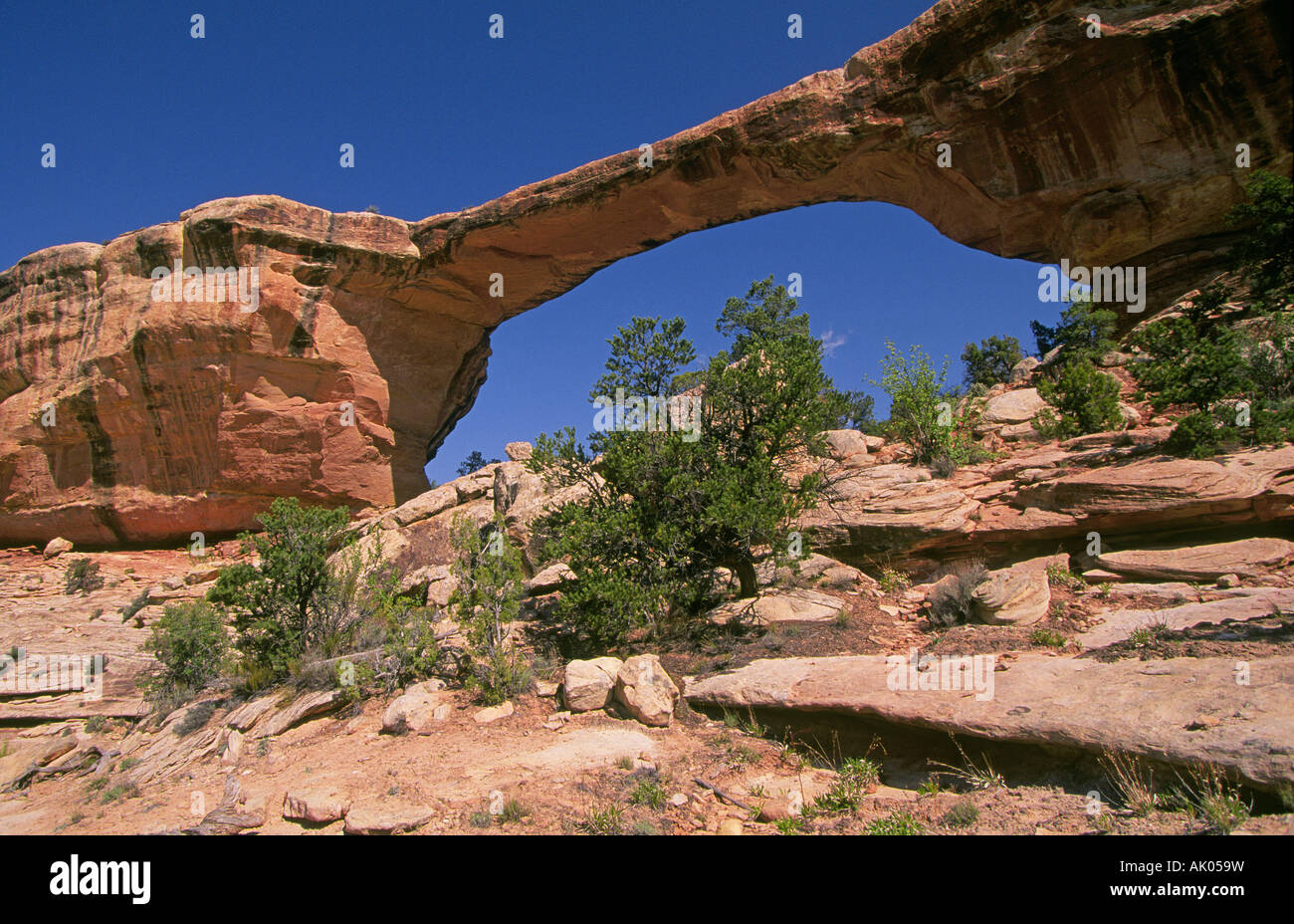 A magnificent stone arch in Natural Bridges National Monument in the ...