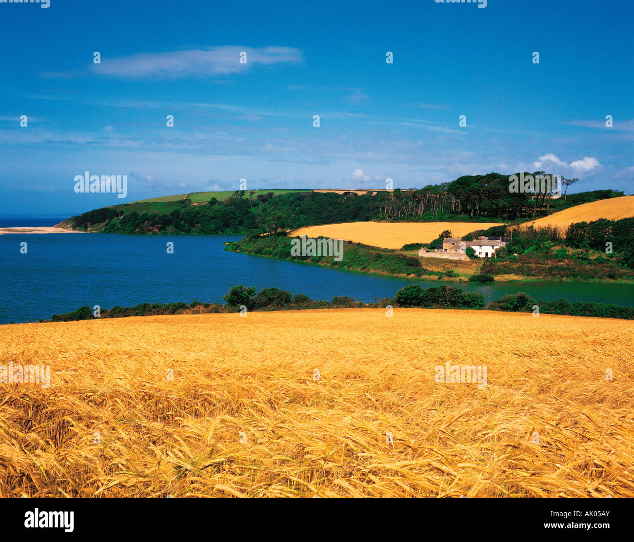 United Kingdom. England. Cornwall. Loe Bar freshwater pool Stock Photo ...