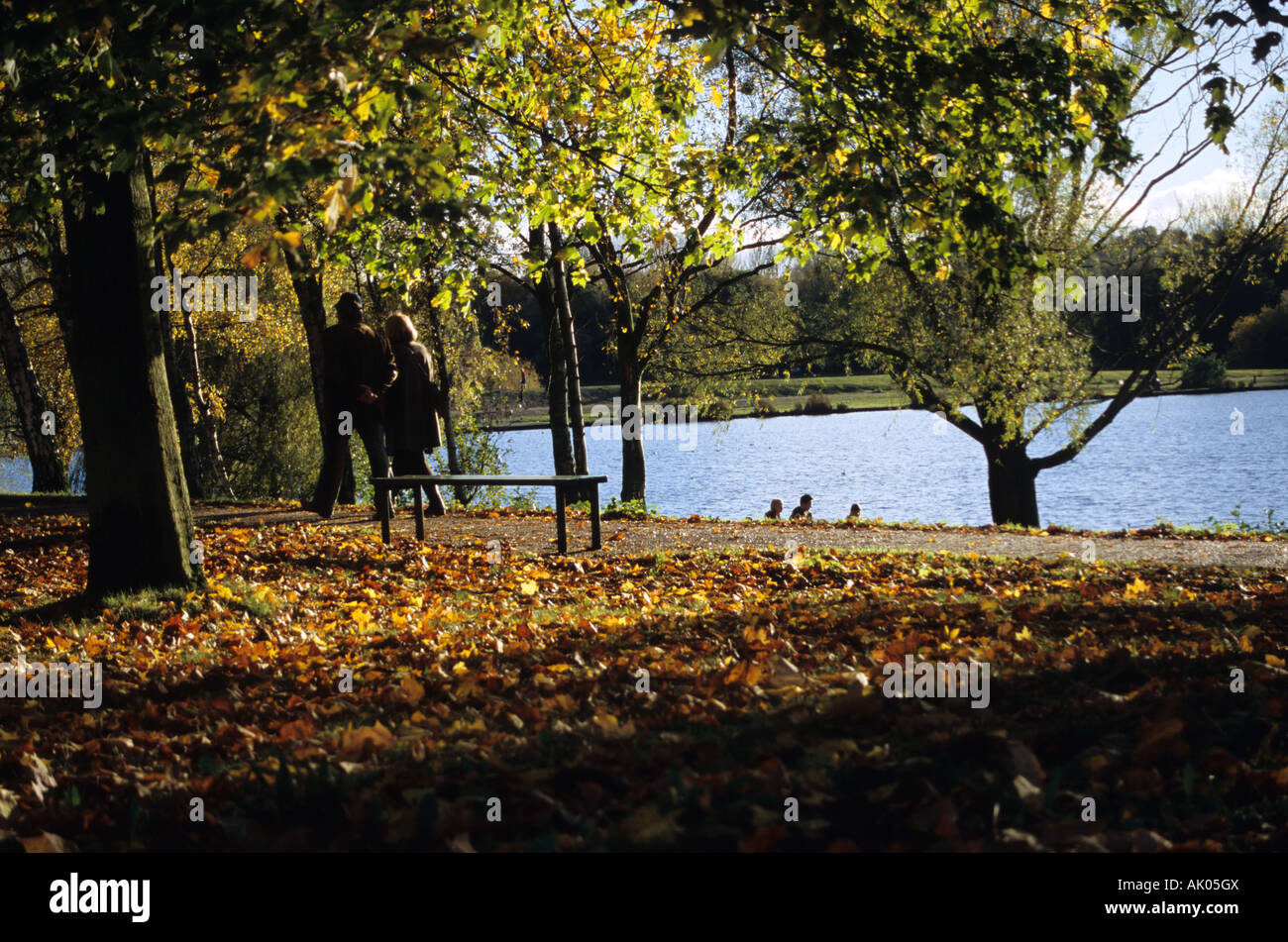 View Of Westport Lake Stoke-on-Trent Through Trees Stock Photo - Alamy