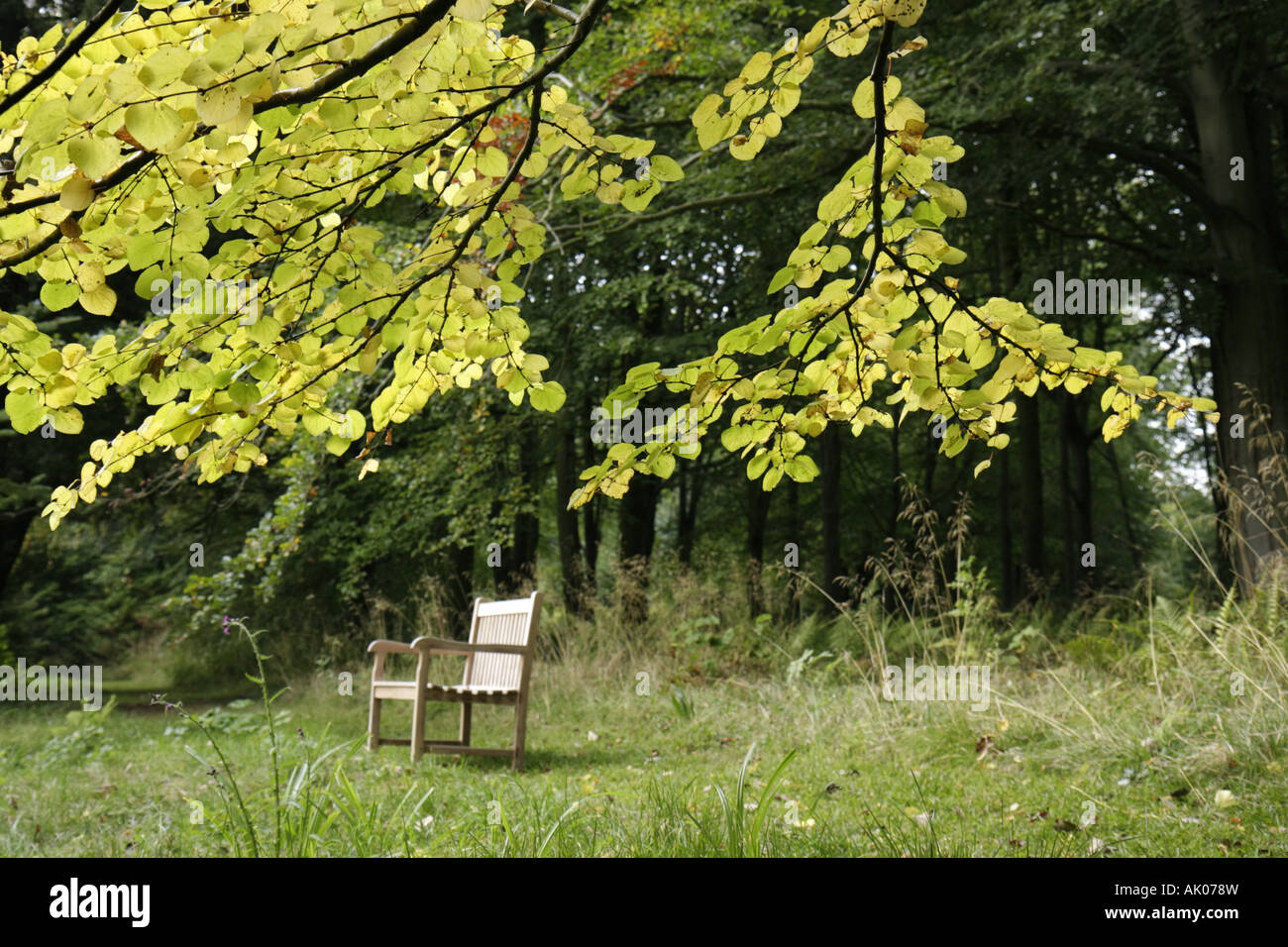 Howick Hall And Gardens Stock Photos & Howick Hall And Gardens Stock ...