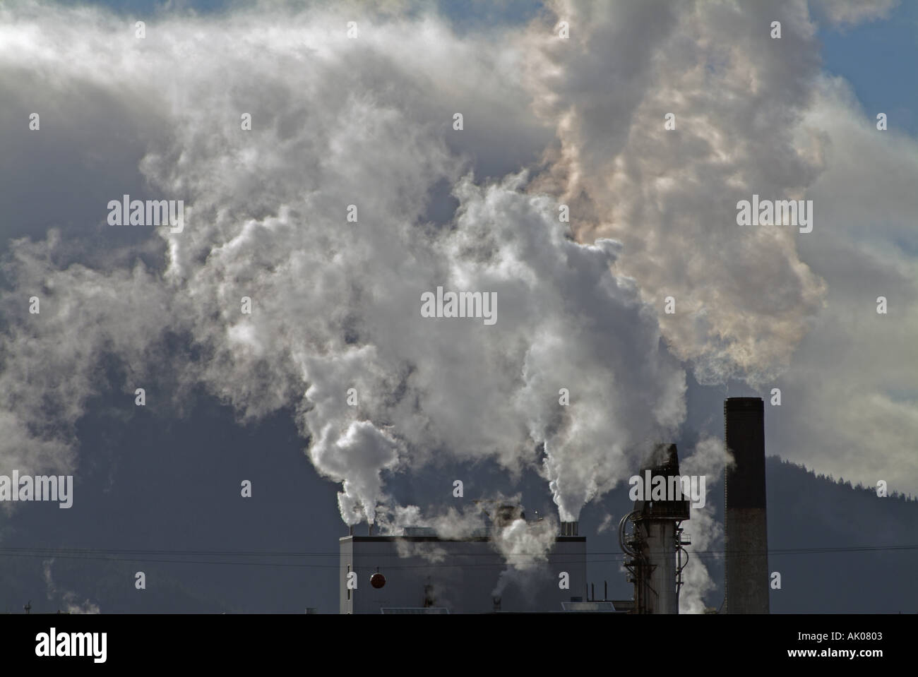 Pulp and Paper Mill Smoke stack emissions British Columbia Canada Stock ...