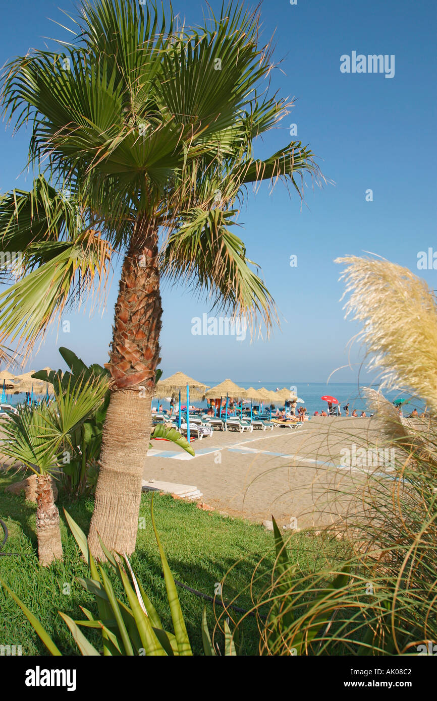 Playamar bajondillo beach hi-res stock photography and images - Alamy