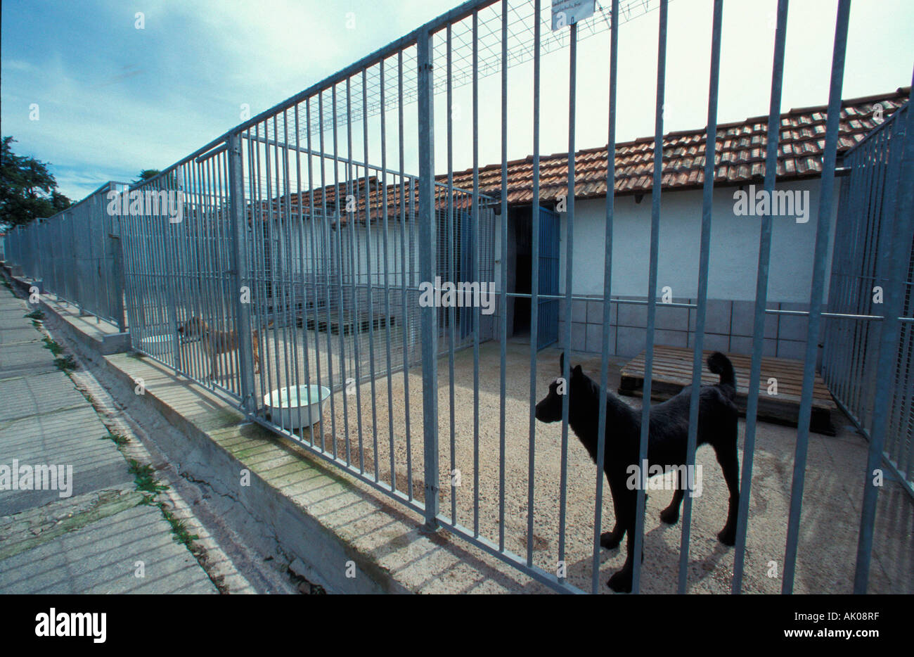 Tierheim hi-res stock photography and images - Alamy