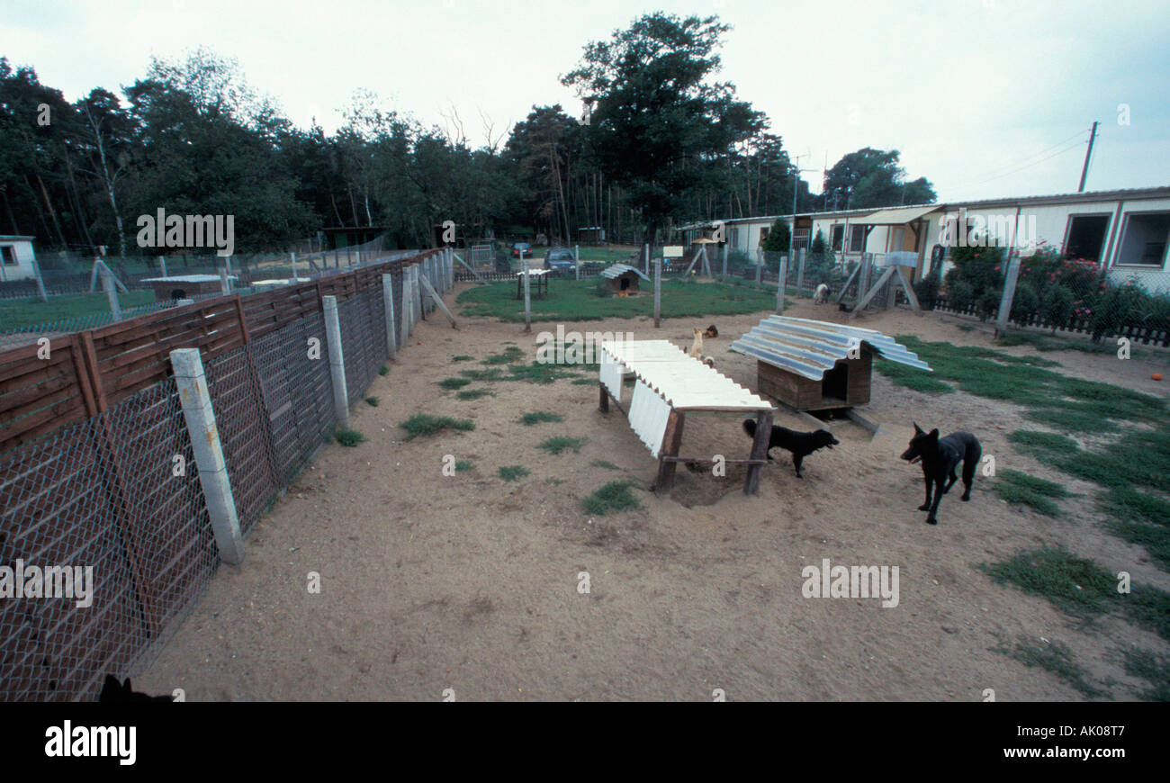 Tierheim hi-res stock photography and images - Alamy