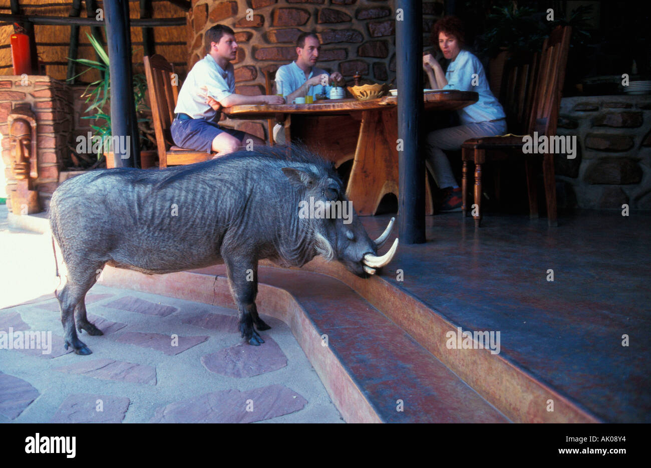Giant Warthog Size
