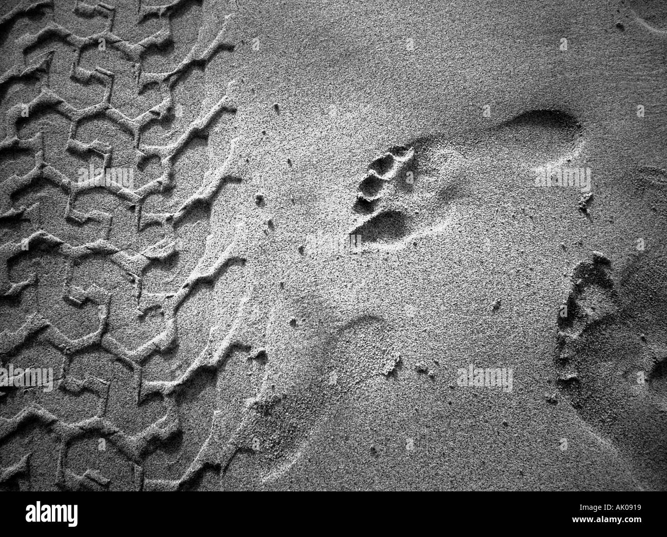 Hallmarks Footprints & pneumatic prints natural artificial Puerto del ...