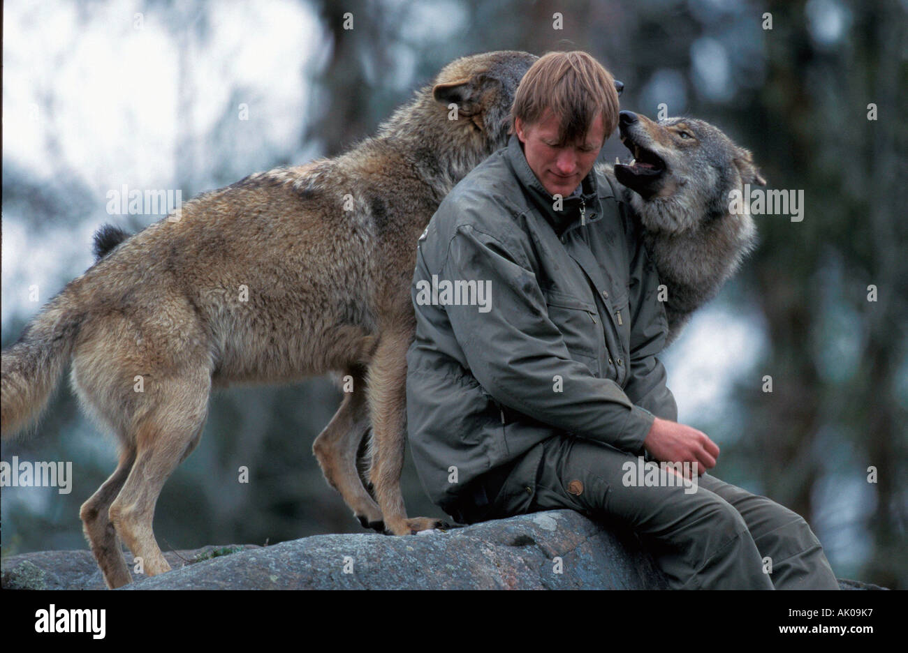 Wolf men hi-res stock photography and images - Alamy