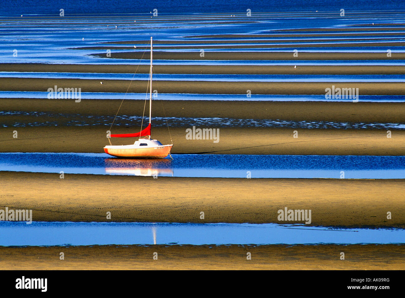 Sailboat anchored in tidal flats, Cape Cod Bay, Eastham, Cape Cod, MA ...