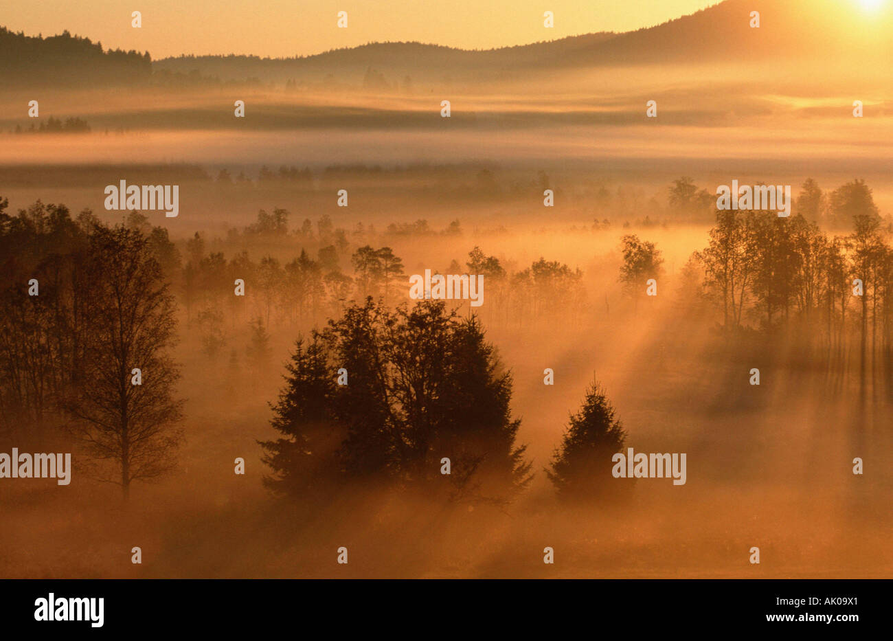 Bohmerwald boehmerwald hi-res stock photography and images - Alamy