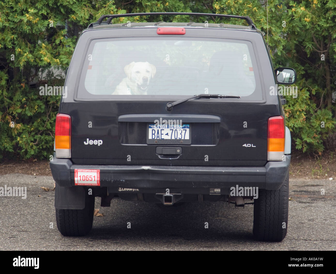 Inside a car hi-res stock photography and images - Alamy