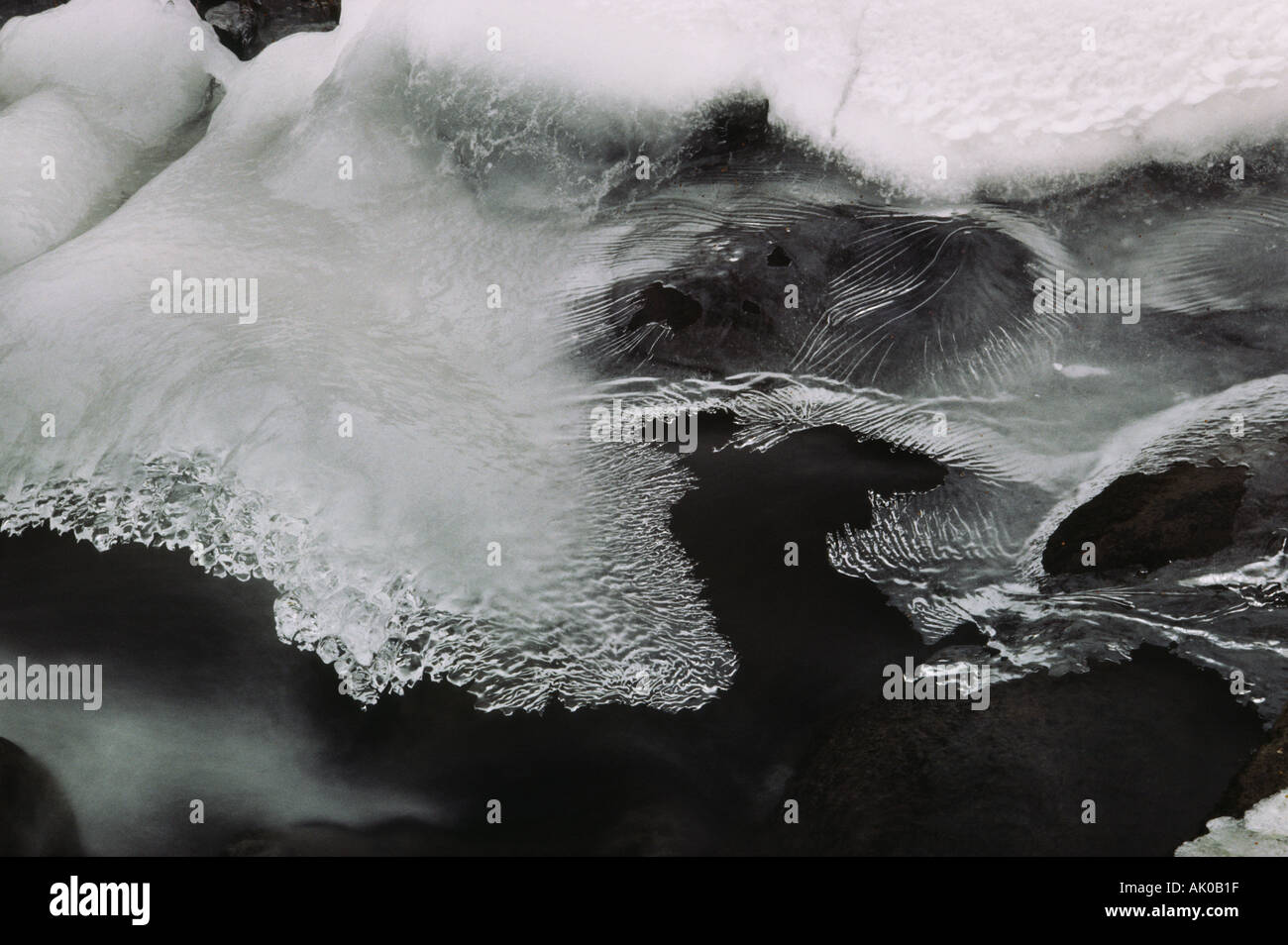 Close-up of river and ice. A thin layer of ice is forming over a fast ...