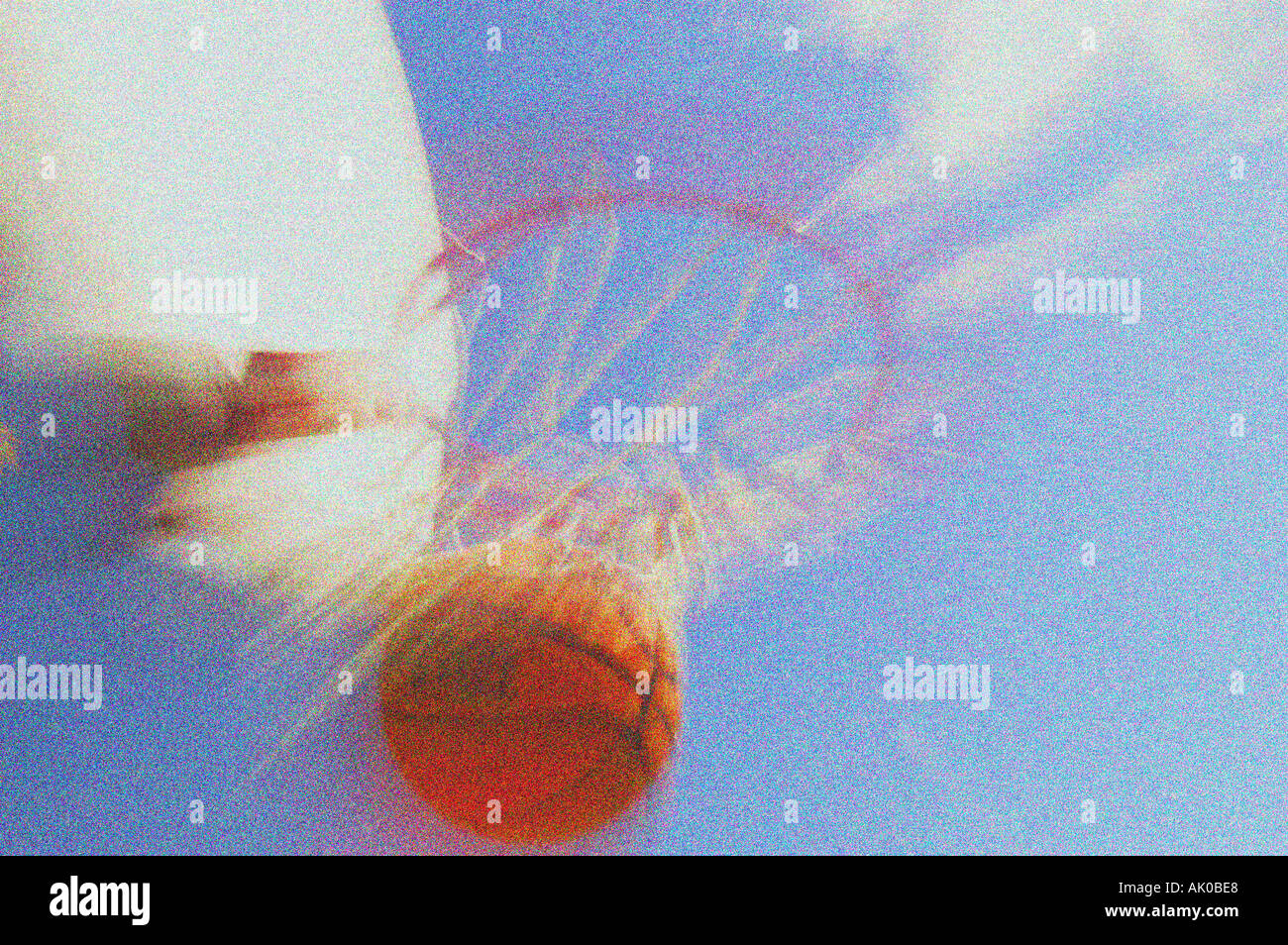 basketball shot through net Stock Photo - Alamy