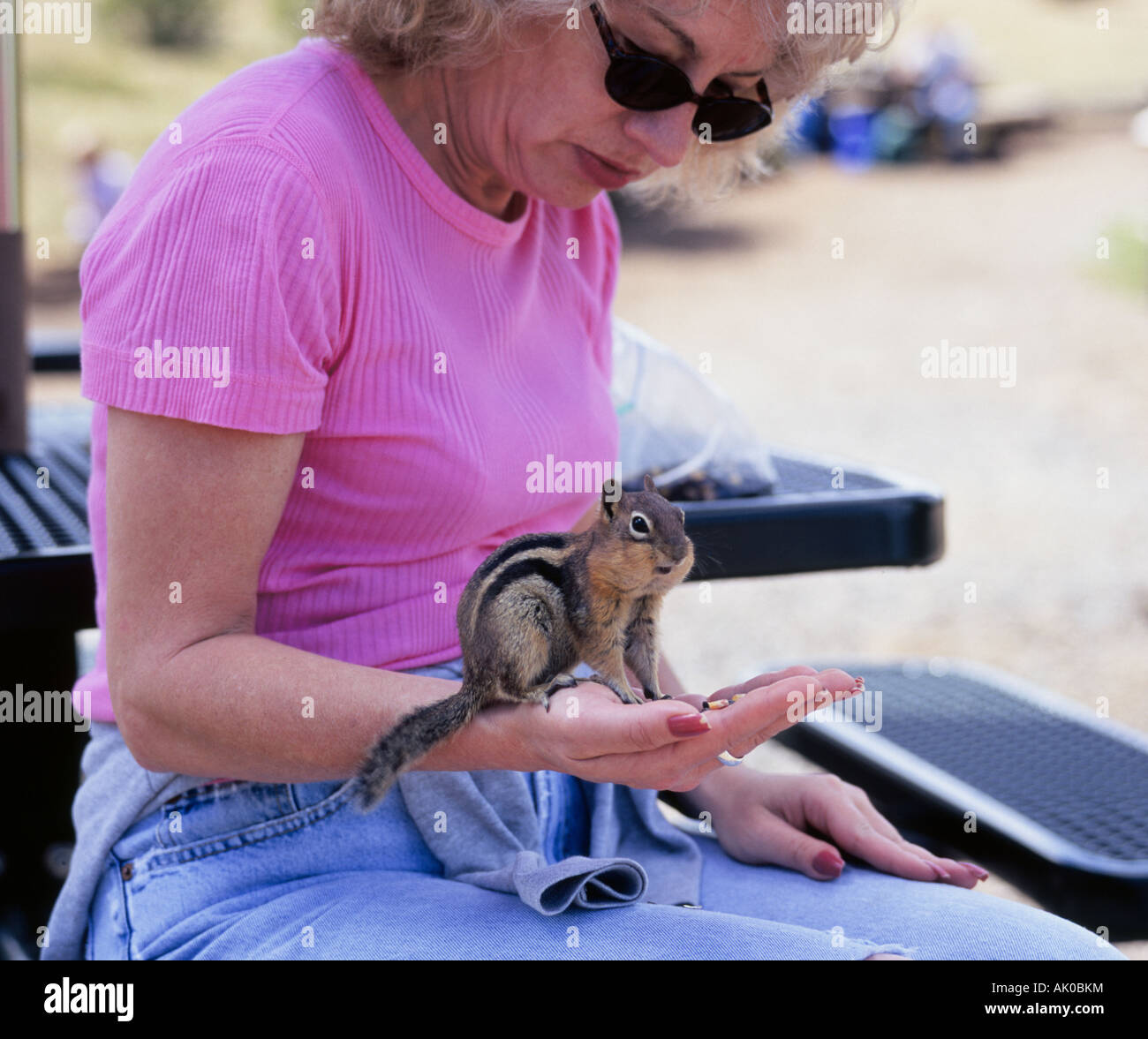 Golden mantle ground squirrel High Resolution Stock Photography and ...