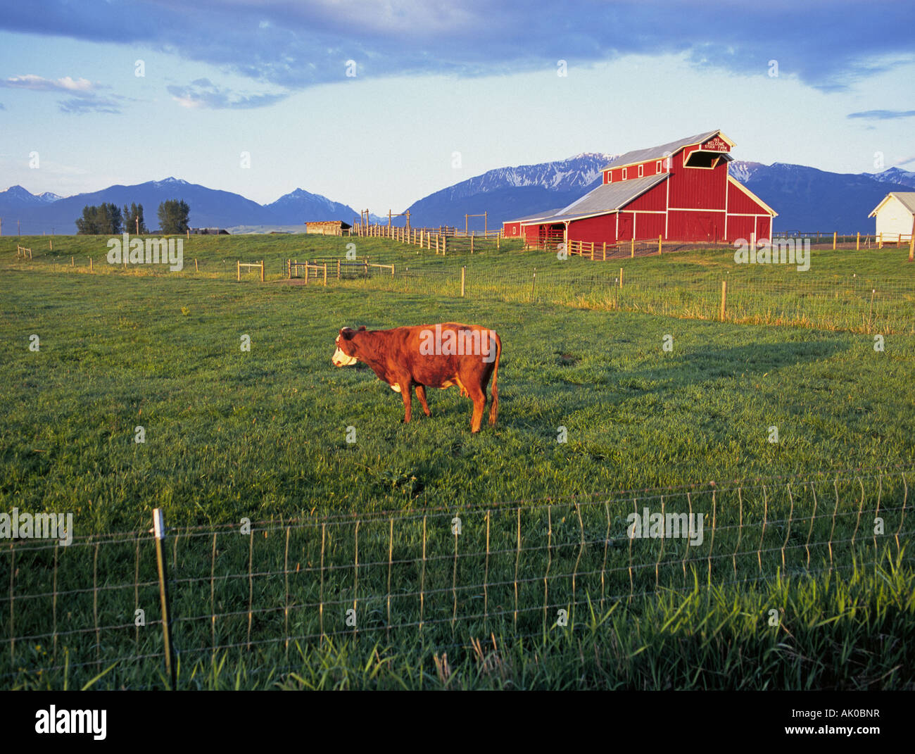 Red barn Joseph Oregon The Wallowa Mountains in the background Stock ...