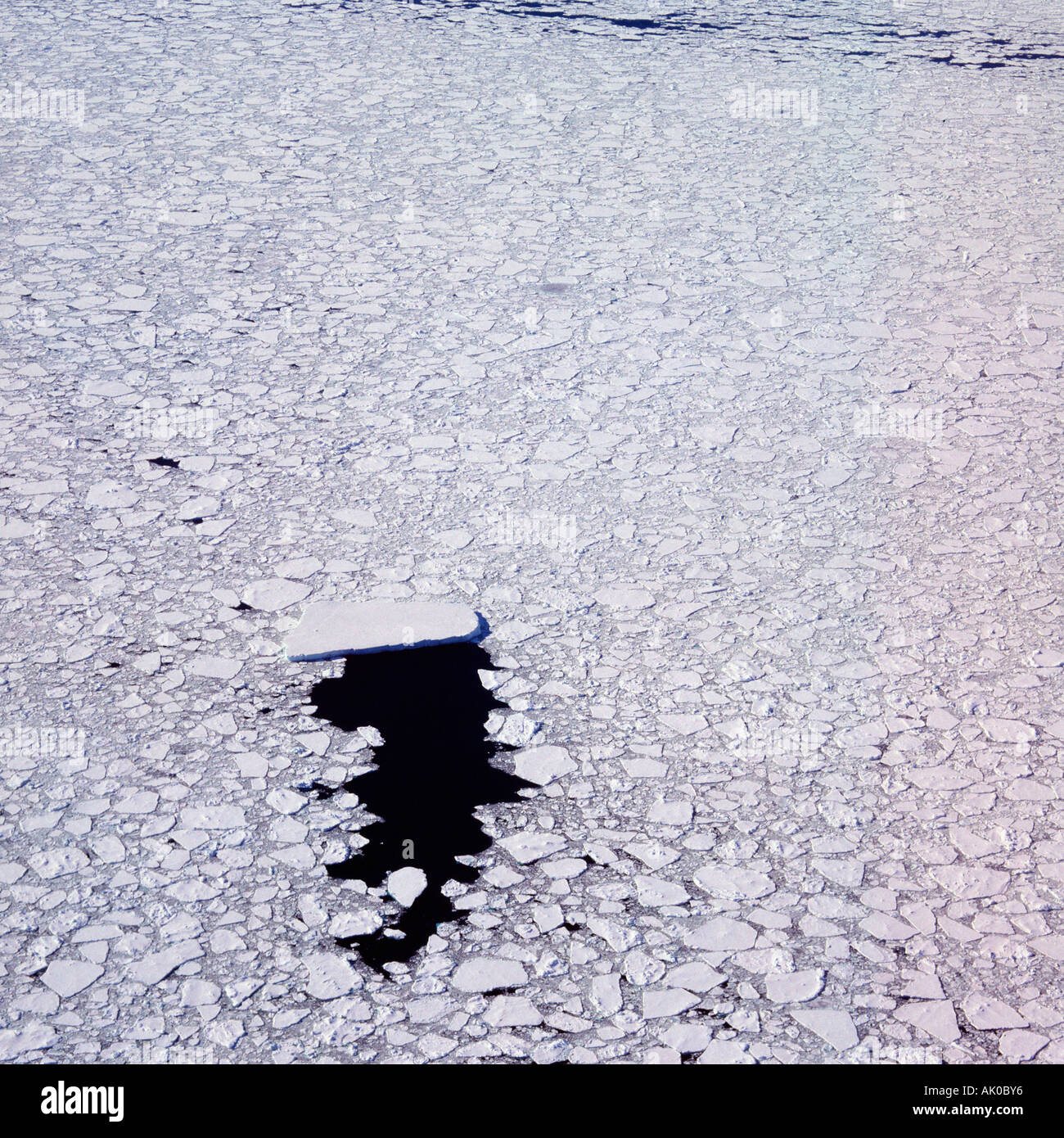 Iceberg and ice floes / Eisberg und Eisschollen Stock Photo - Alamy