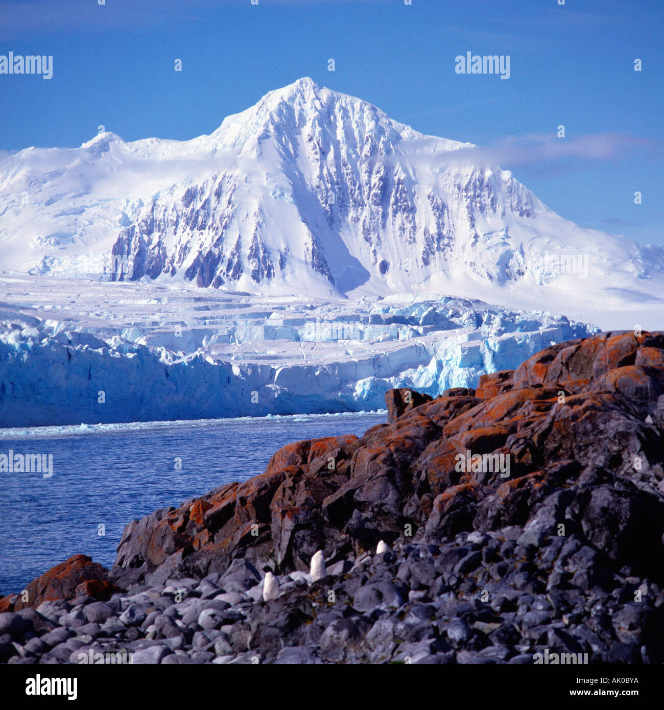 Antarktische hi-res stock photography and images - Alamy
