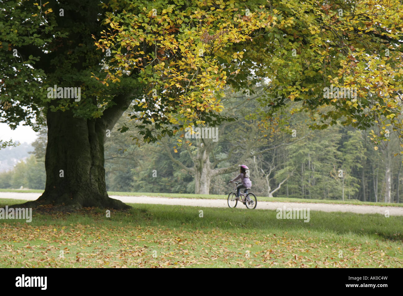 UK England Lancashire,Manchester,Heaton Park,girl girls,youngster ...