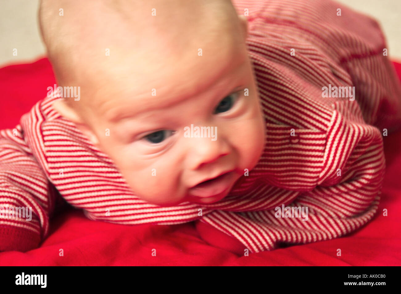 baby lifting head Stock Photo - Alamy