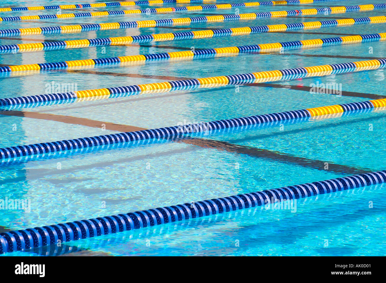 Olympic size pool Stock Photo - Alamy