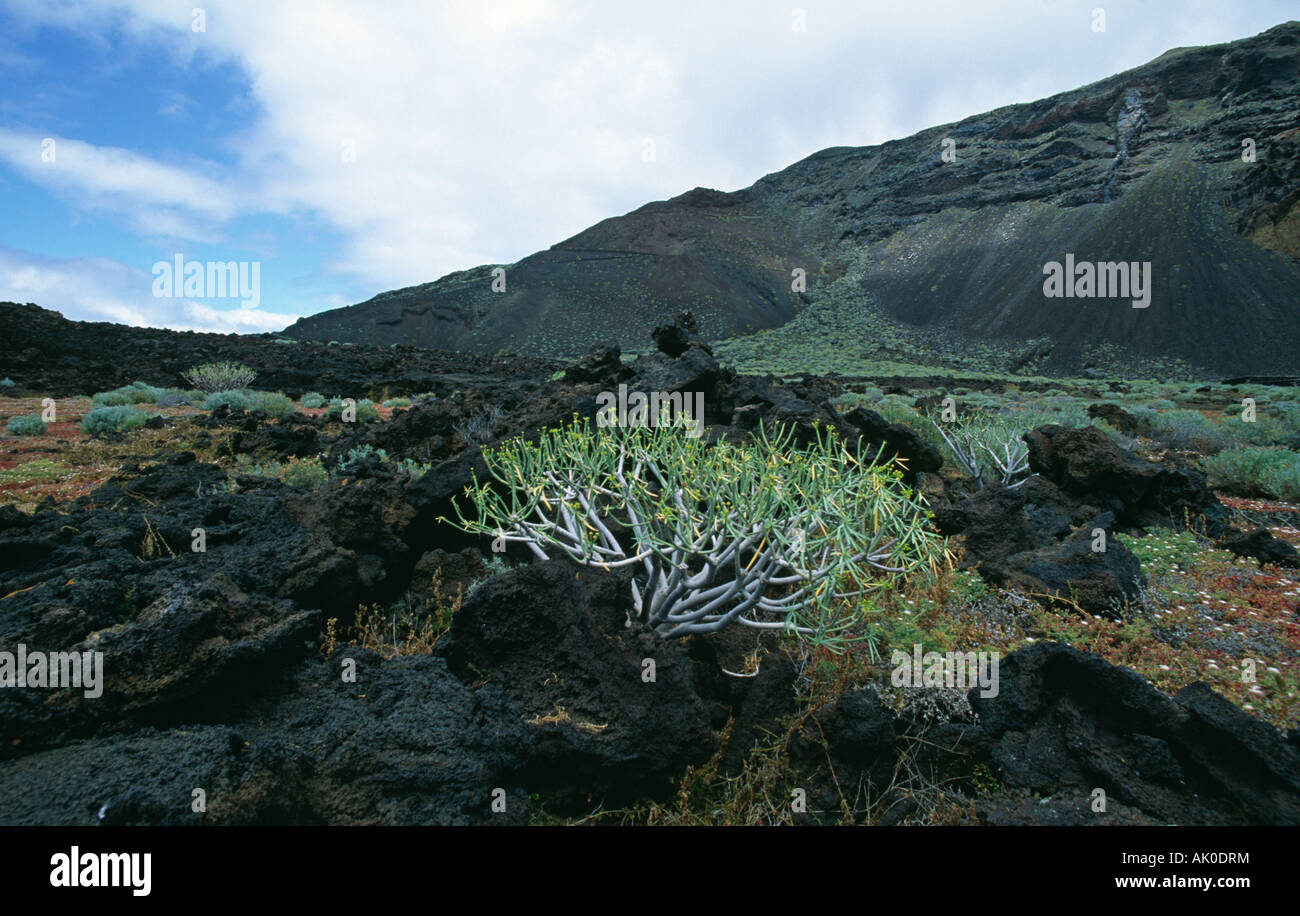 Typical landscape made by volcanic activity close to La Restinga El ...