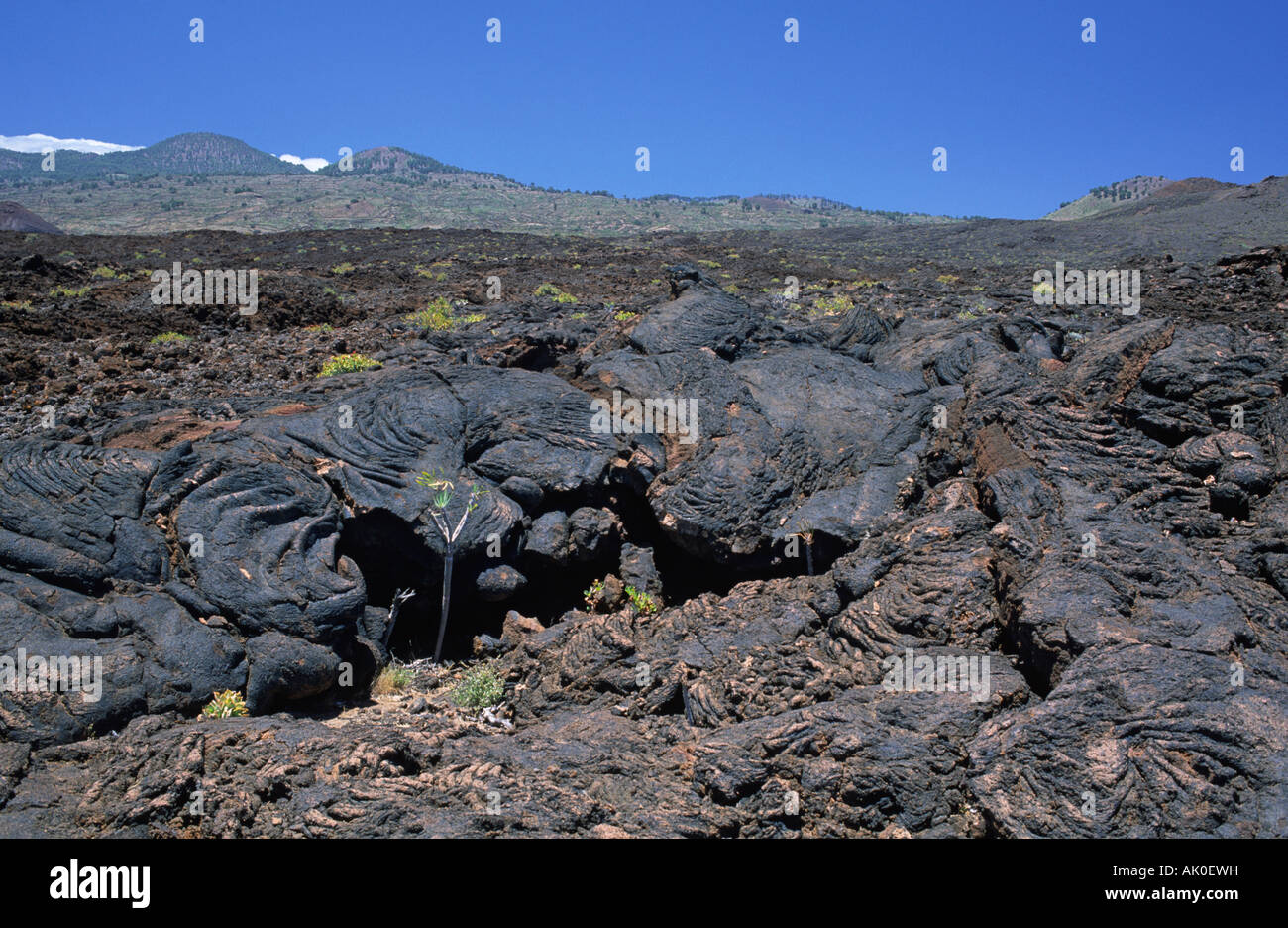 Typical landscape made by volcanic activity close to La Restinga El ...