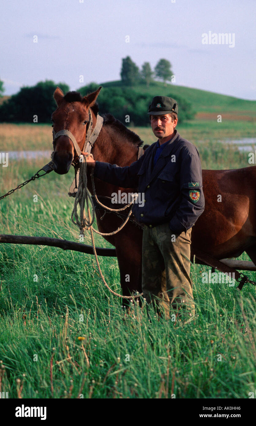Pferd hi-res stock photography and images - Alamy
