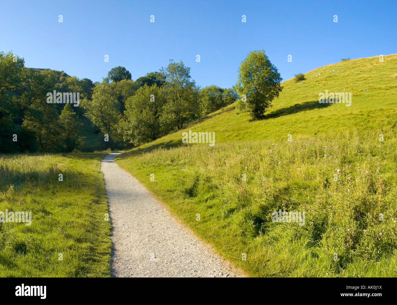 path between hills on valley bottom Stock Photo - Alamy