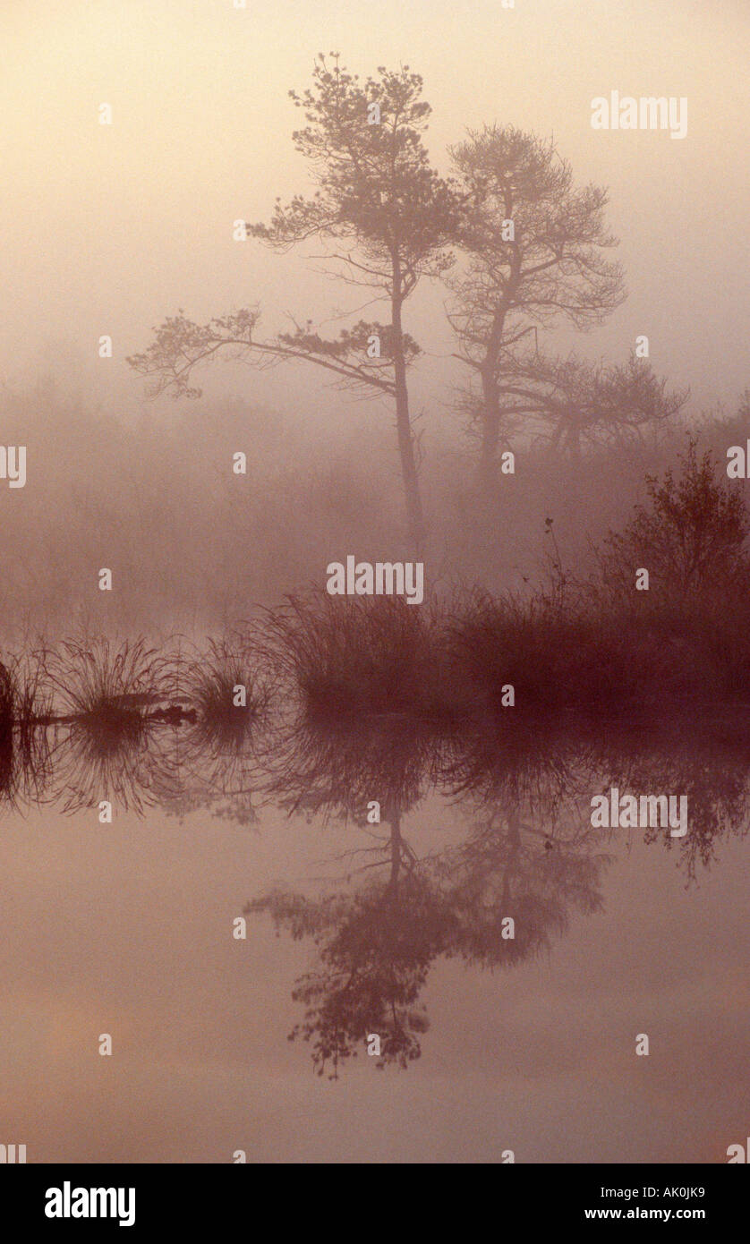 Nebel in deutschland hi-res stock photography and images - Alamy