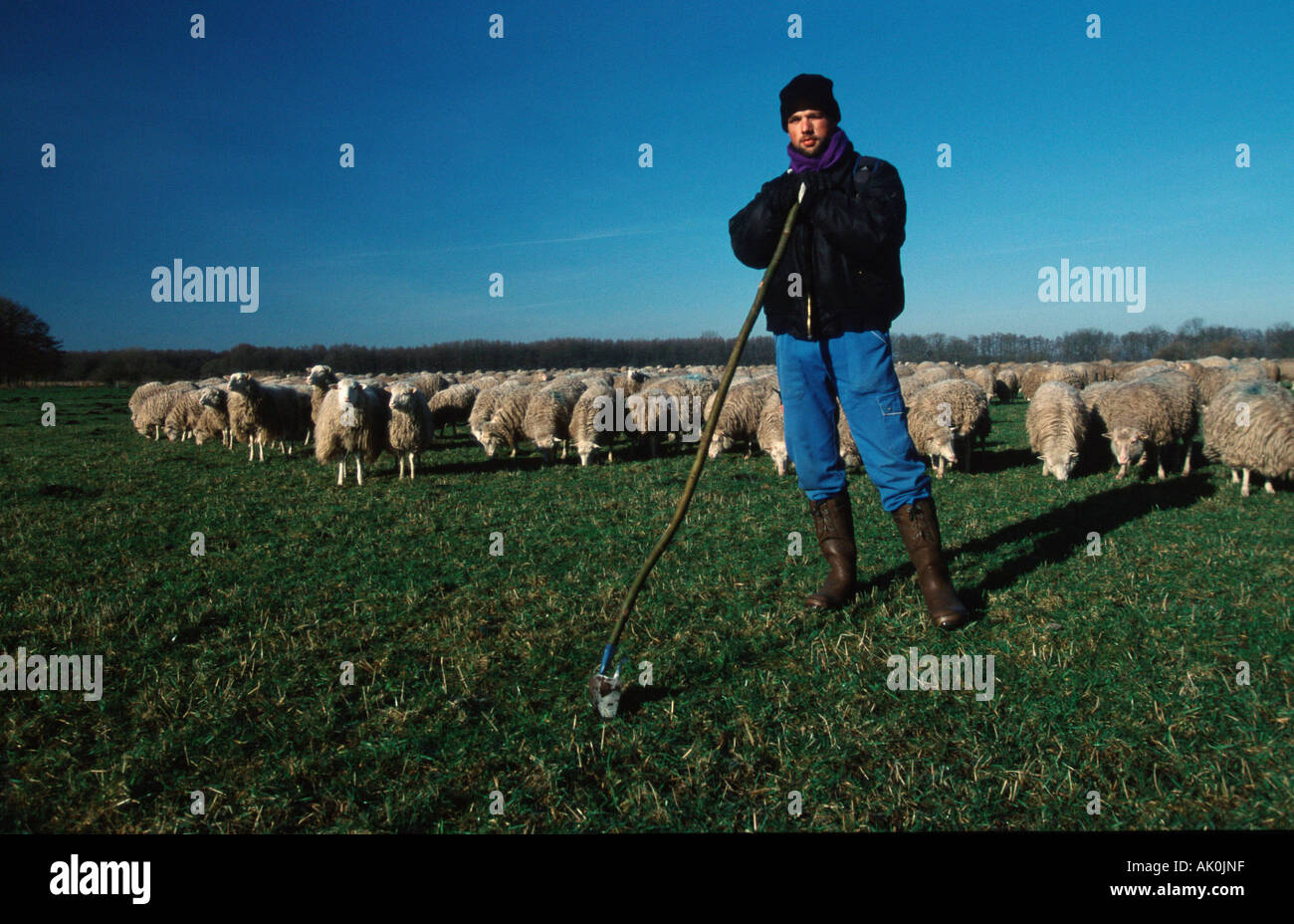 Schafhirte hi-res stock photography and images - Alamy