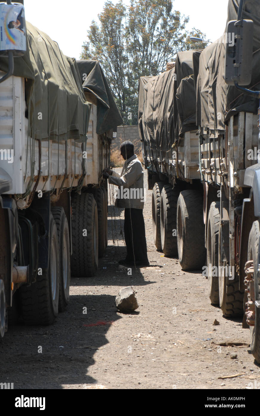 Loads of coffee beans hi-res stock photography and images - Alamy